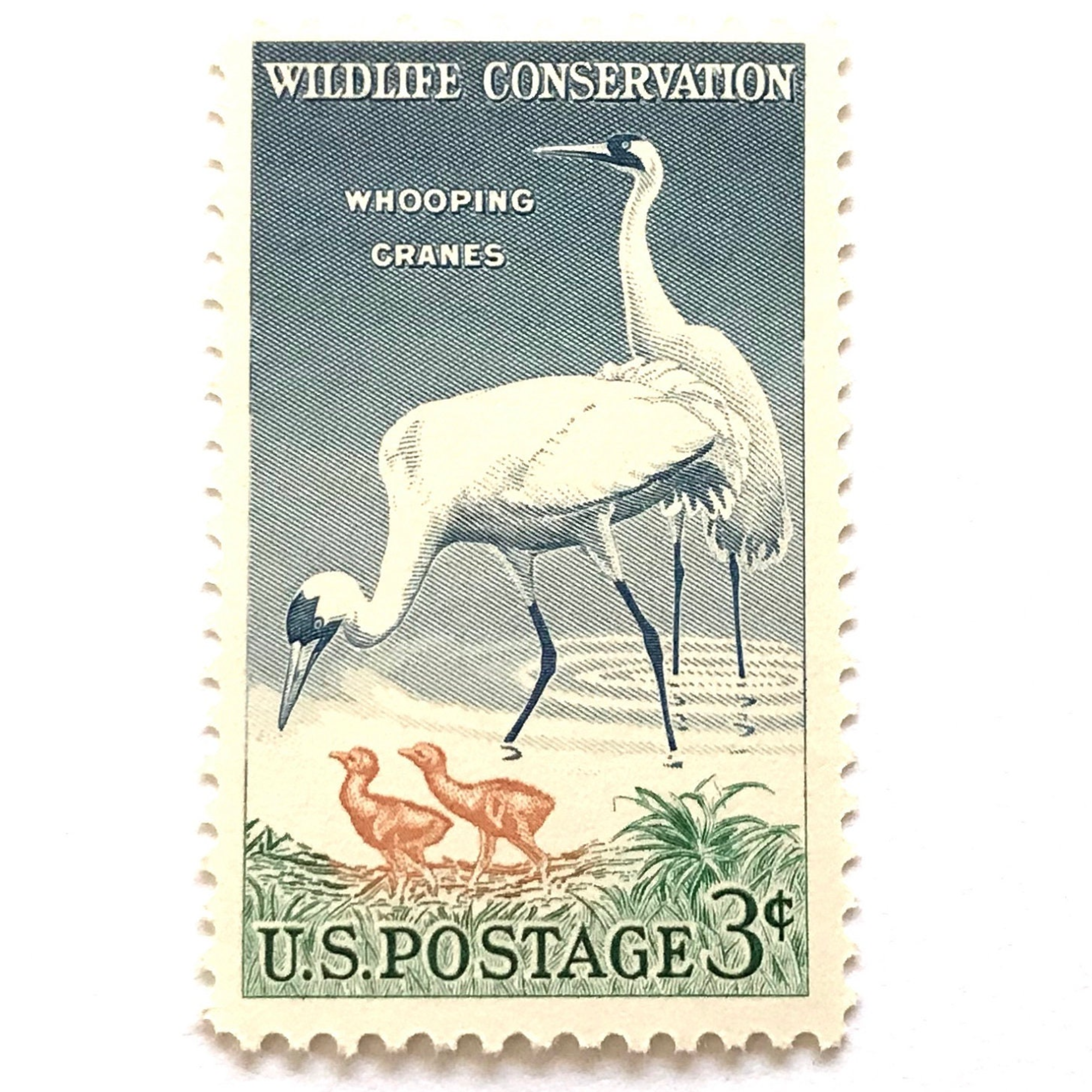 Whooping Cranes Mail Stamps (White Bird, Ecology, Wetlands, Swamp, Baby ...