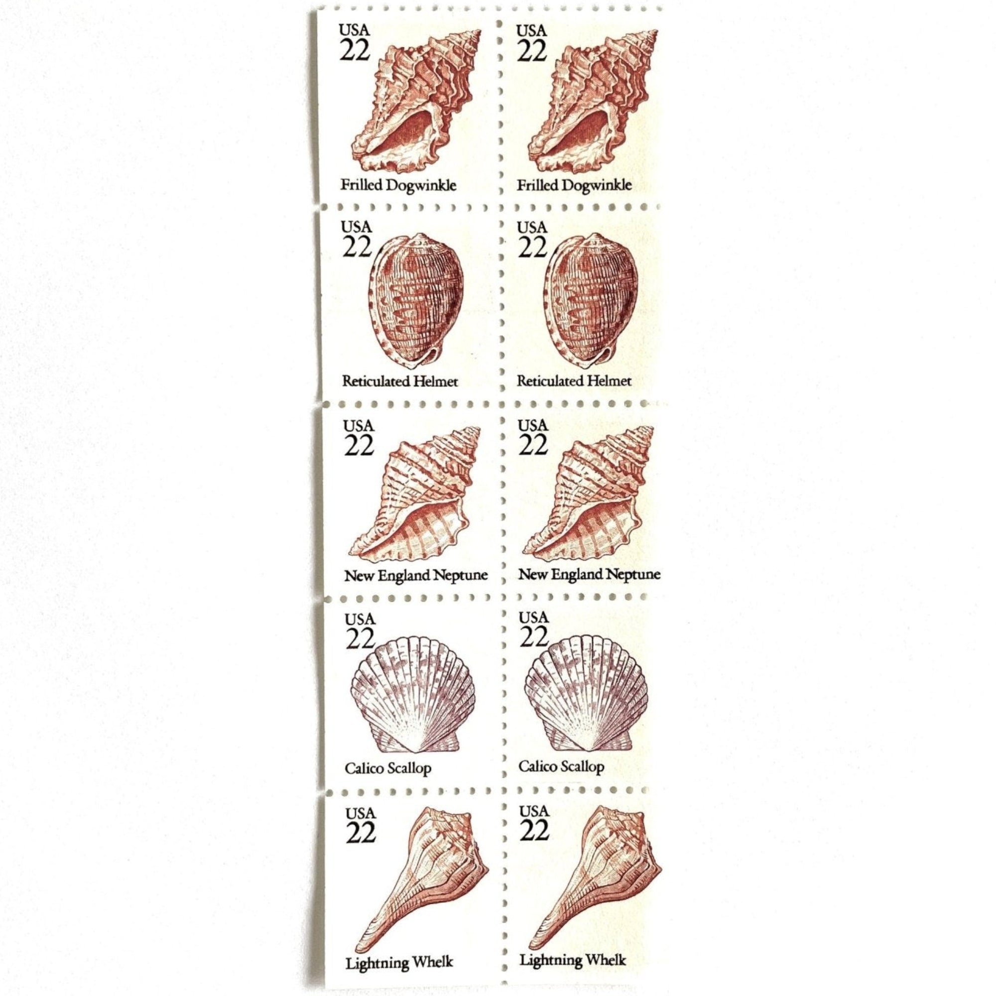 Seashell Set of 5 Stamps (Beach, Ocean, Sea, Nautical, Pink) Vintage U ...