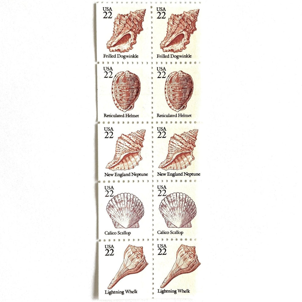 Seashell Set of 5 Stamps (Beach, Ocean, Sea, Nautical, Pink) Vintage U ...