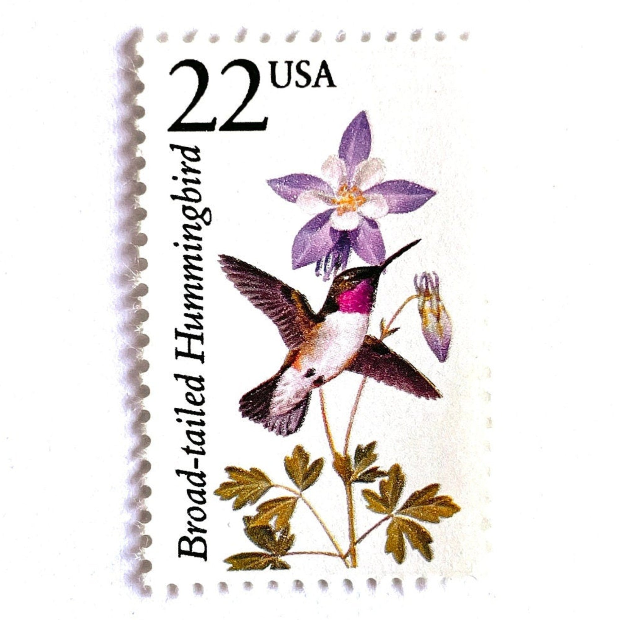 Broad-Tailed Hummingbird Postage Stamps (North American Wildlife Series ...