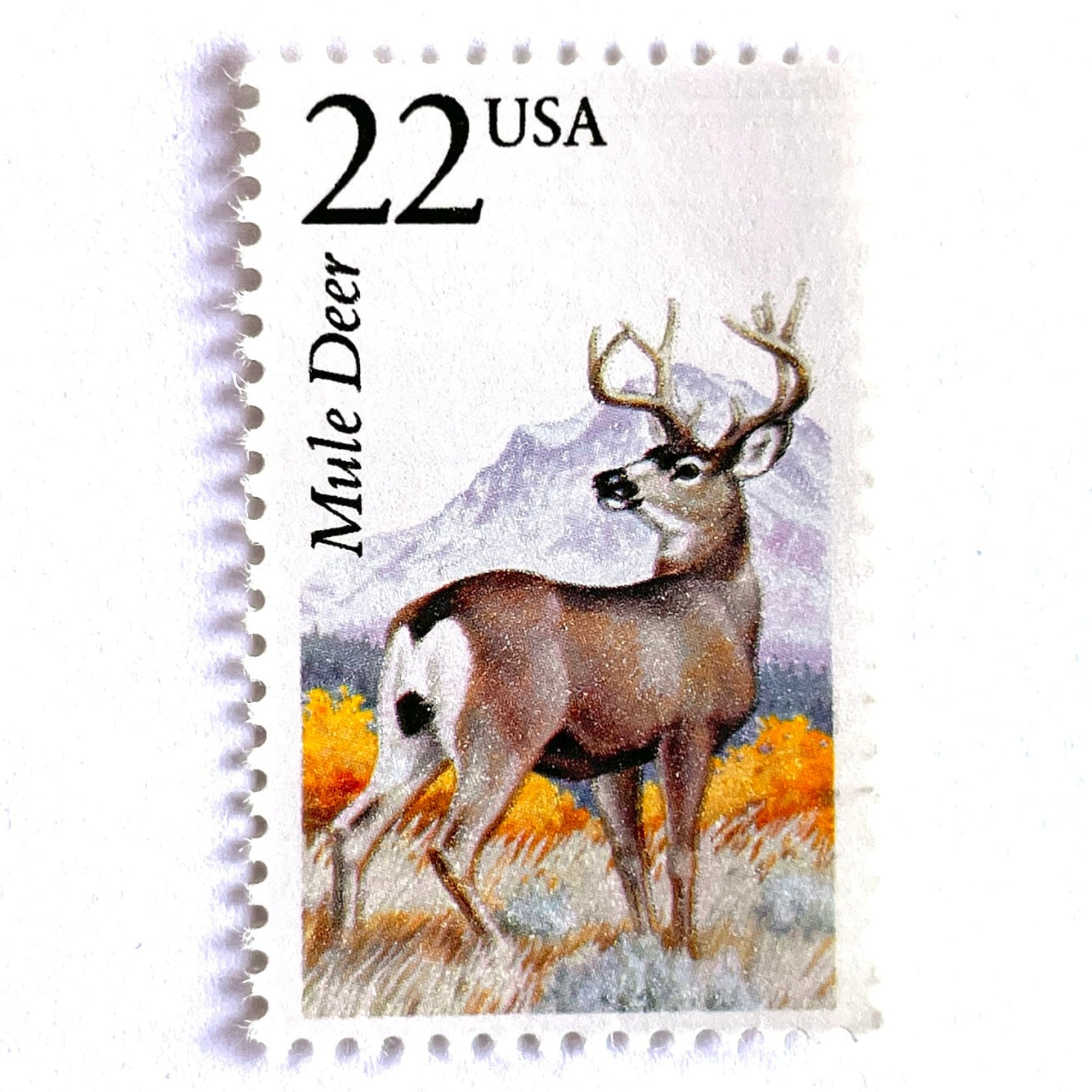 Mule Deer Postage Stamps (North American Wildlife Series, Multicolored ...