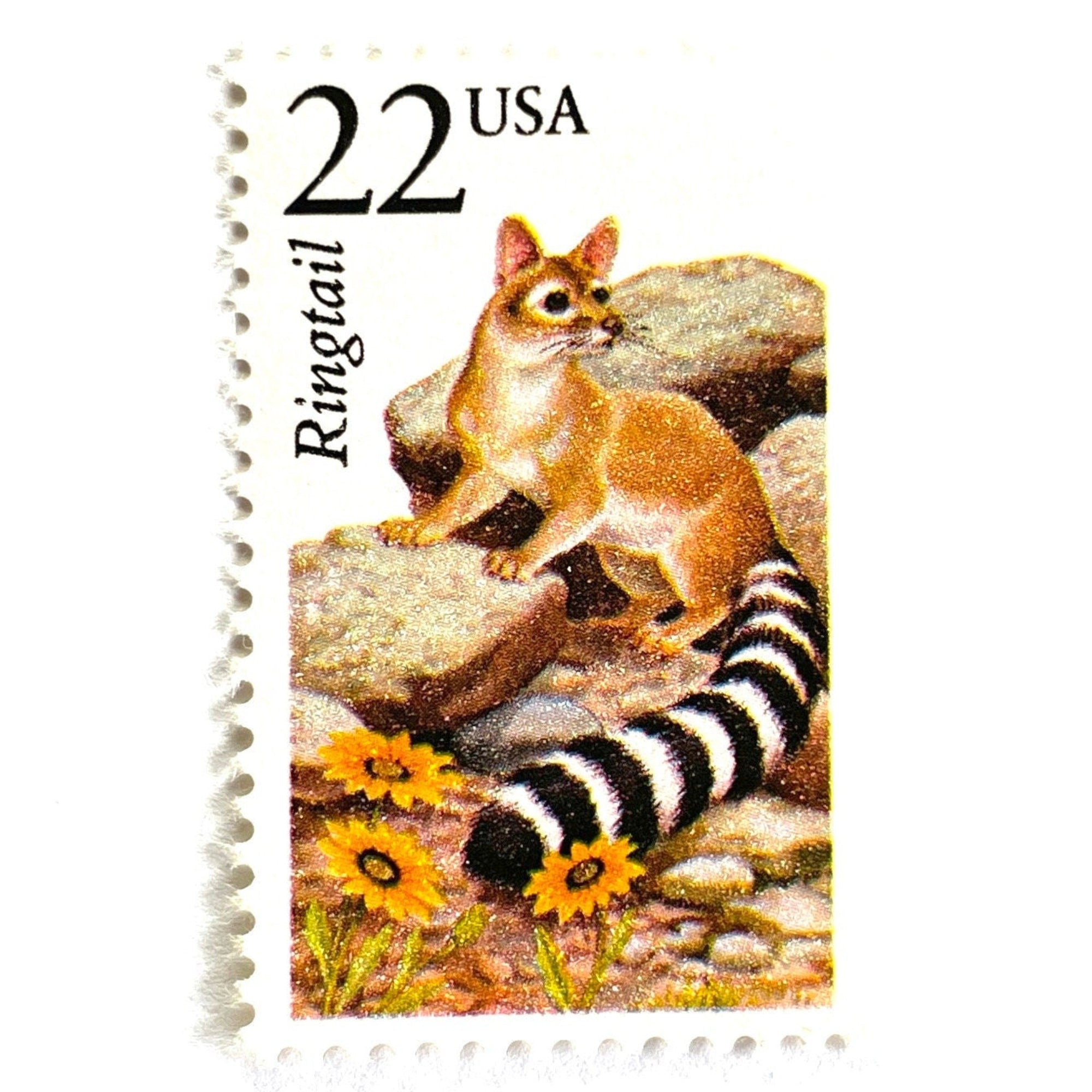 Ringtail Postage Stamps (North American Wildlife Series, Multicolored ...
