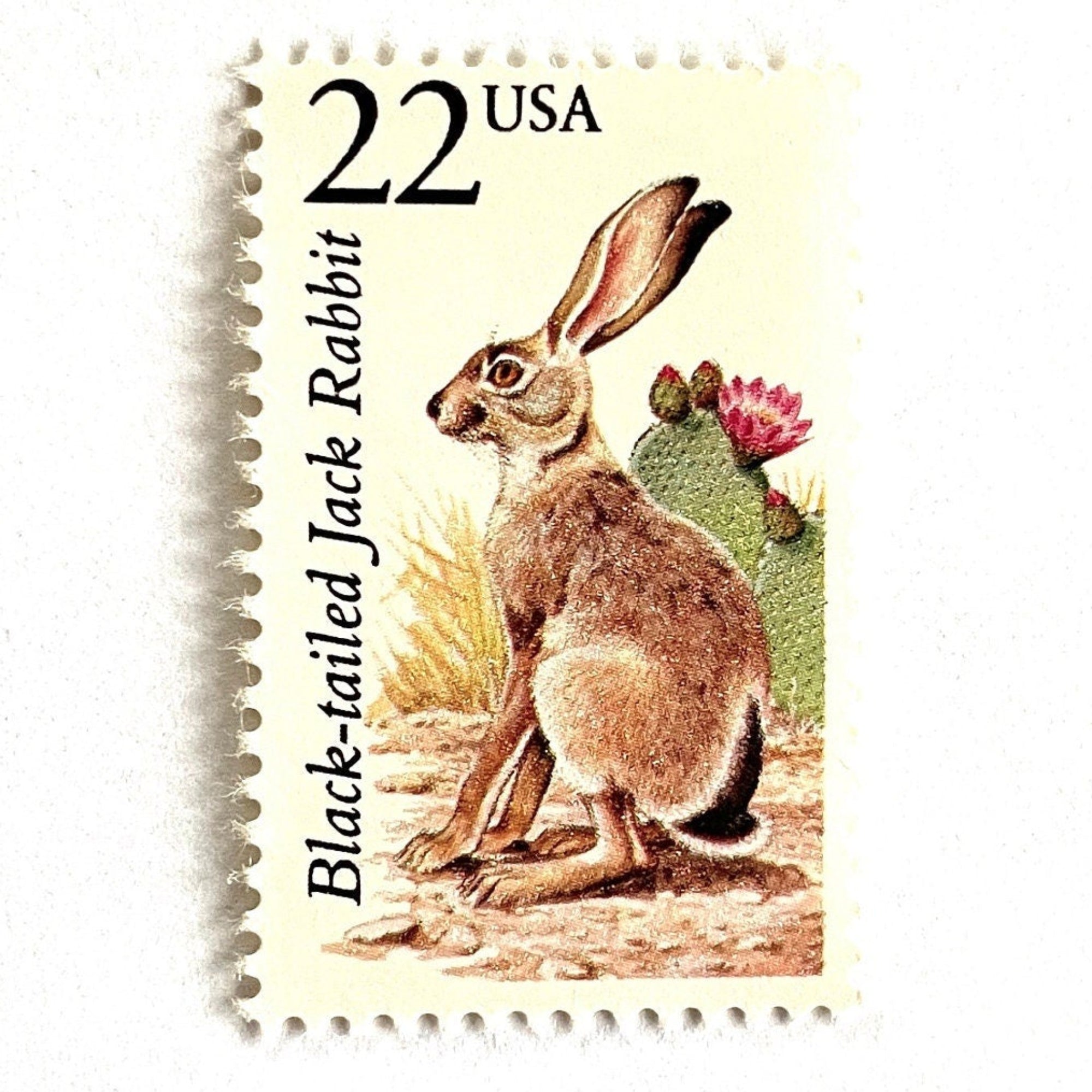 Black-Tailed Jack Rabbit Postage Stamps (North American Wildlife Series ...