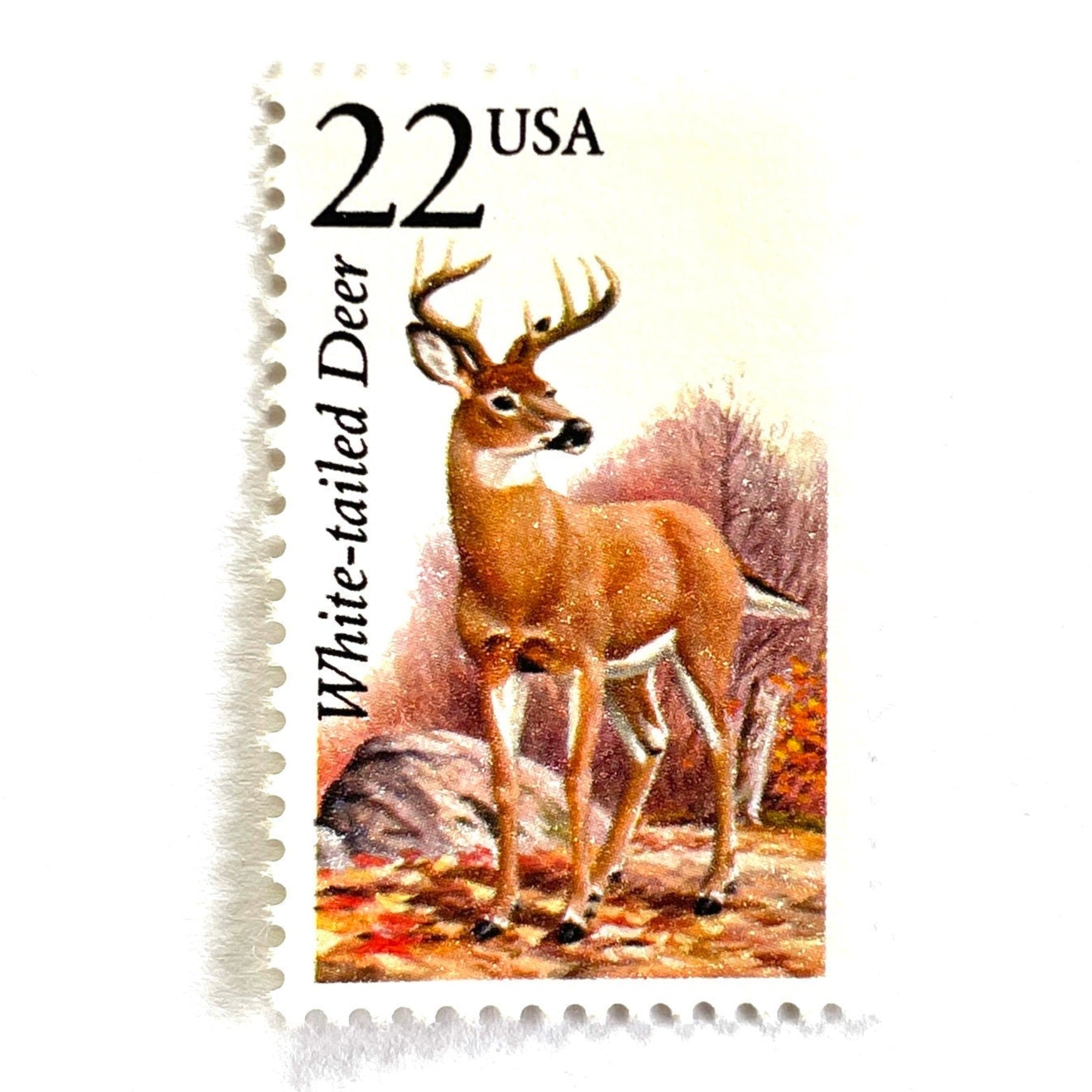 White-Tailed Deer Postage Stamps (North American Wildlife Series ...