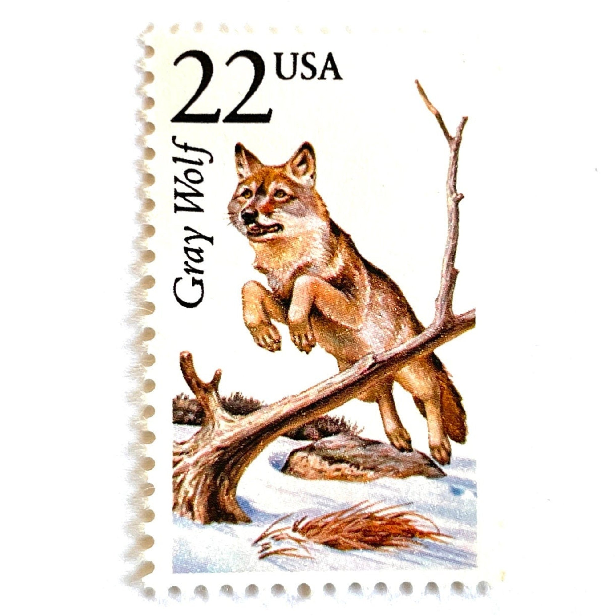 Gray Wolf Postage Stamps (North American Wildlife Series, Multicolored ...