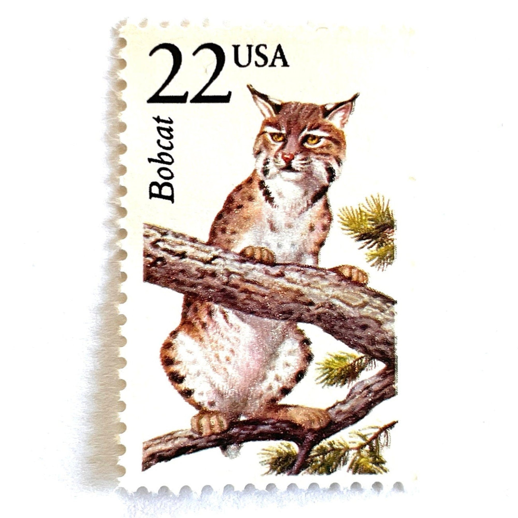 Bobcat Postage Stamps (North American Wildlife Series, Multicolored ...