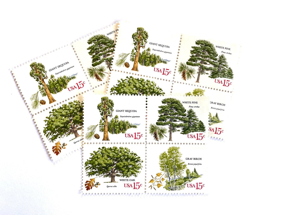 Set of 4 American Trees Stamps (Oak, Birch, Pine, Sequoia) Vintage Unu ...